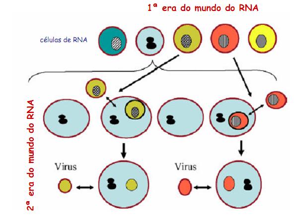 Origem e Evolução dos Vírus II