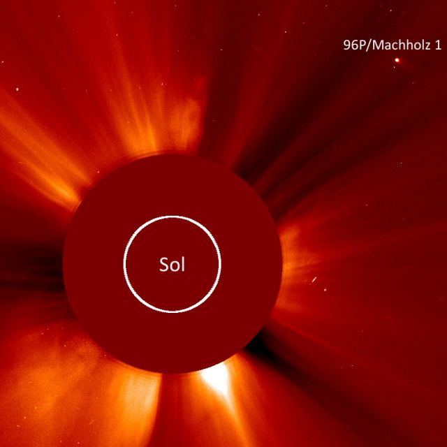 O regresso de Machholz