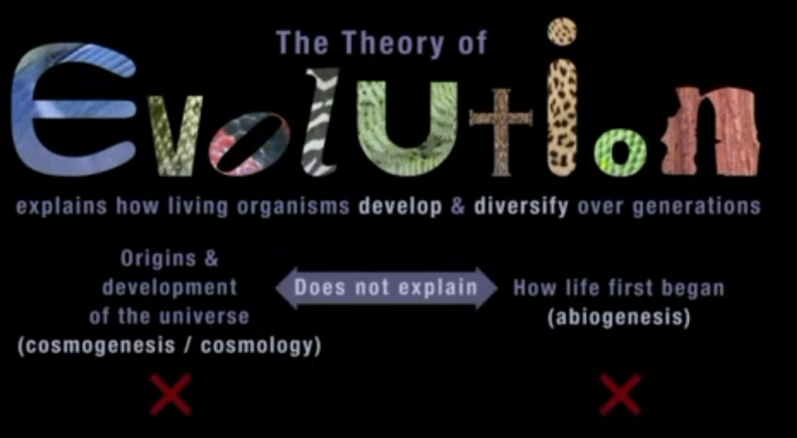 O Bê-A-Bá da Evolução