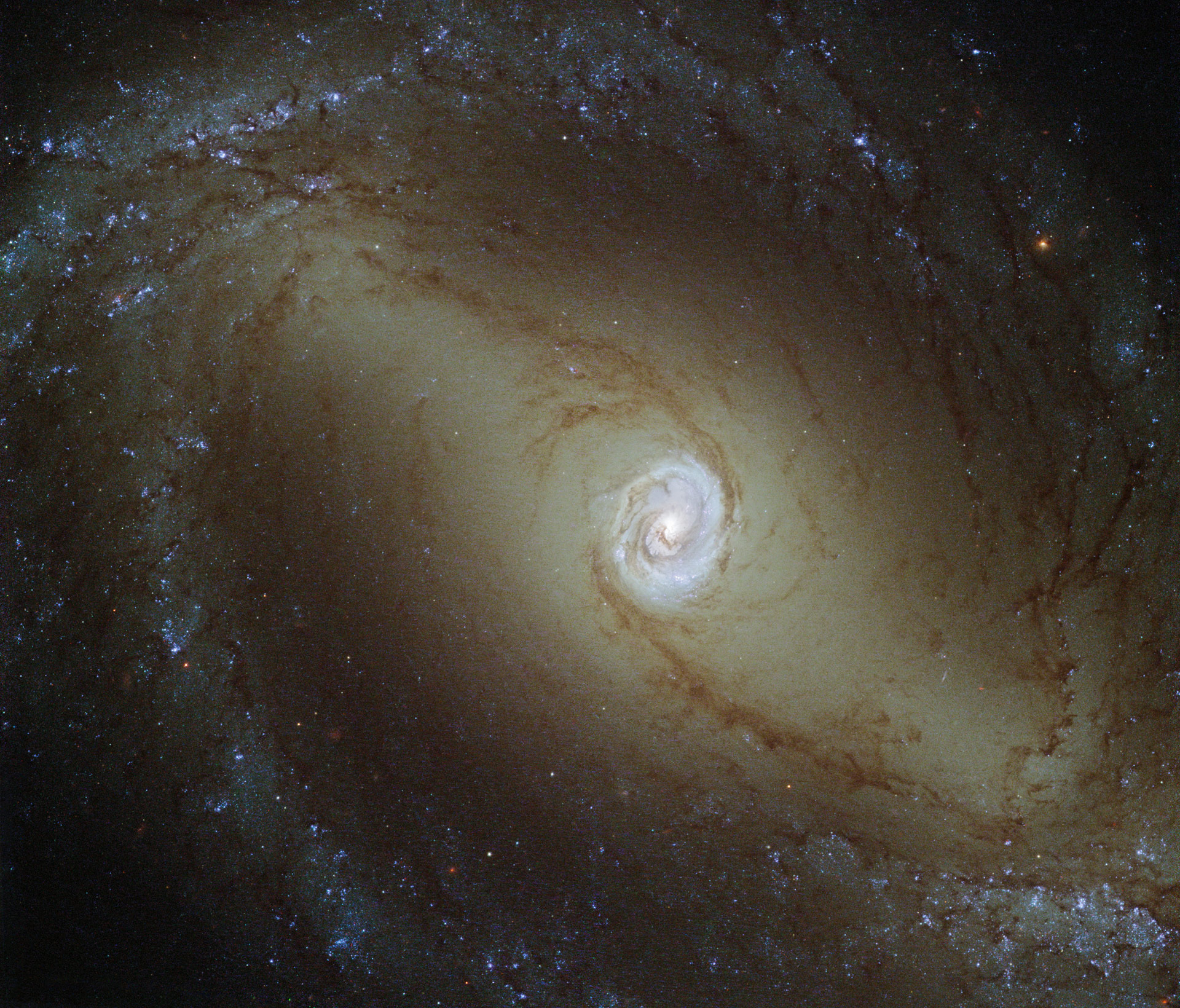 Fantástica NGC 1433
