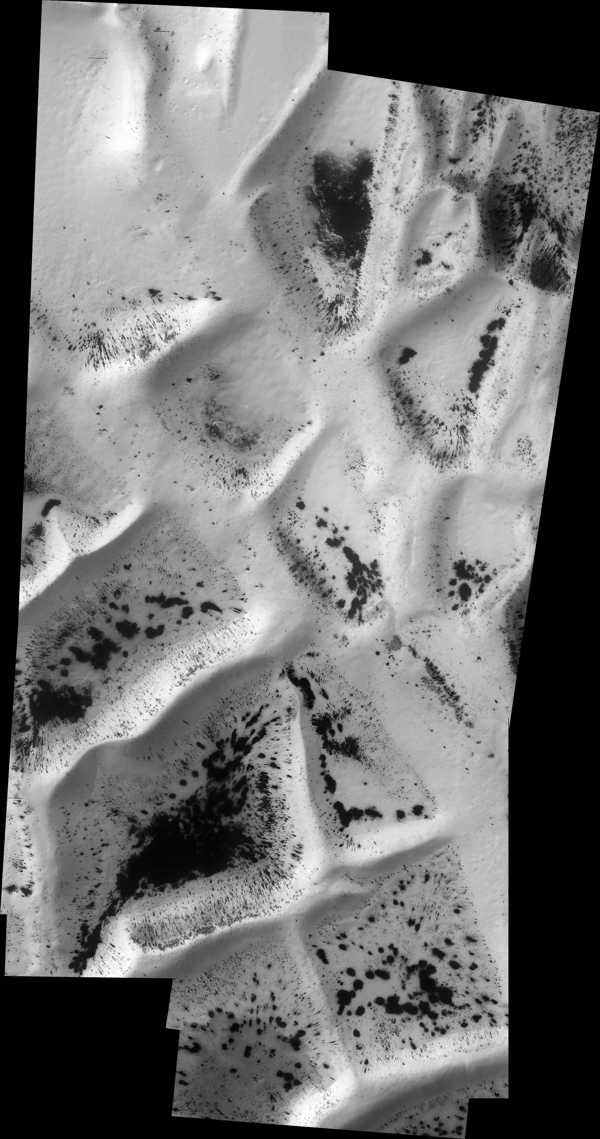 O despertar da primavera na “Cidade Inca”