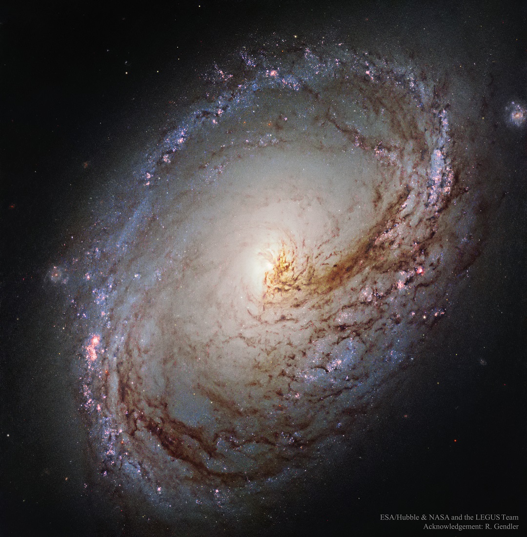M96 revelada por Robert Gendler via Hubble