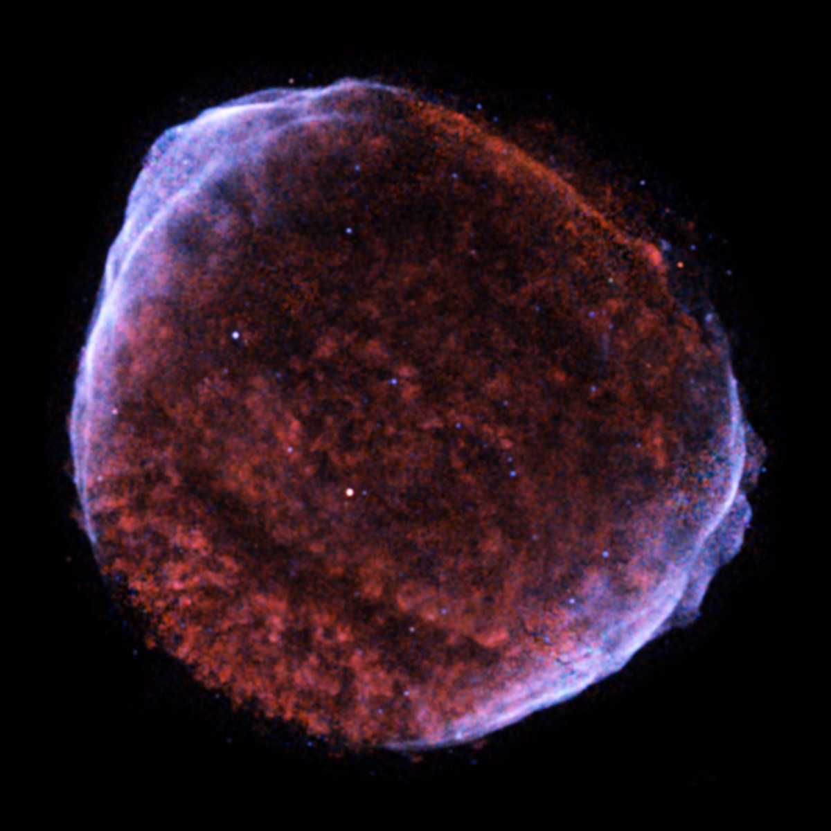 Mil Anos de Supernovas