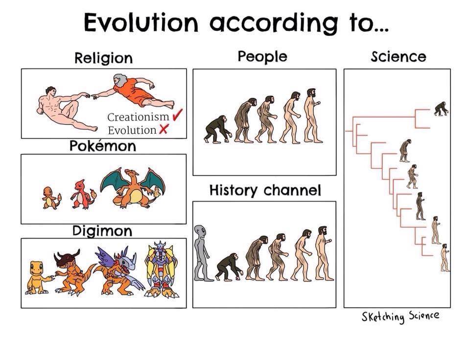 Evoluções